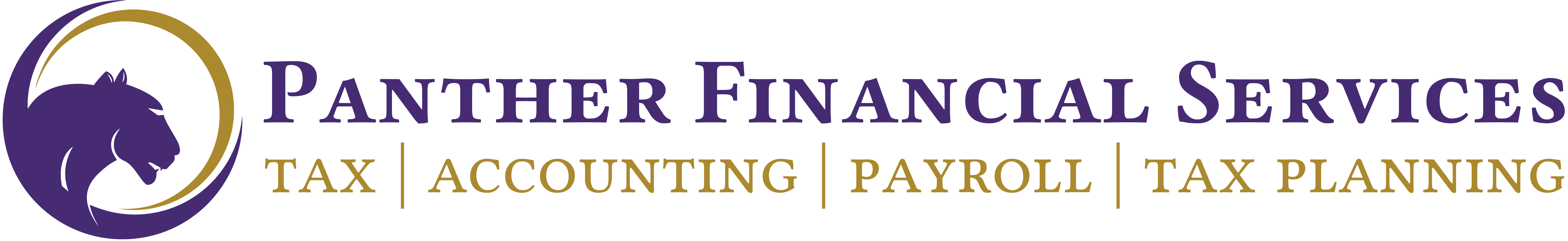 Panther Financial Services Accounting & Tax Experts in San Antonio ...